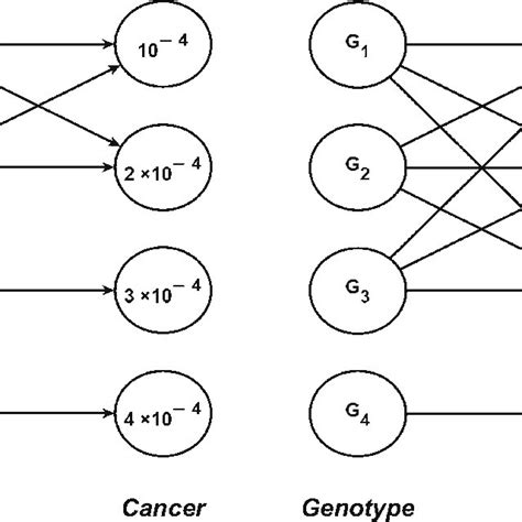 Causal Diagram Representing The Causal Relationships Between