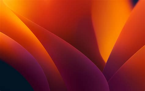 X Mac Os Ventura Dark K P Resolution HD K Wallpapers Images Backgrounds Photos