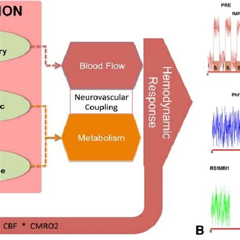 Distribution Of Rsfmri Data Acquisition And Analytical Approaches Download Scientific Diagram