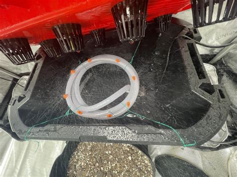 Diy Cloner R Microgrowery