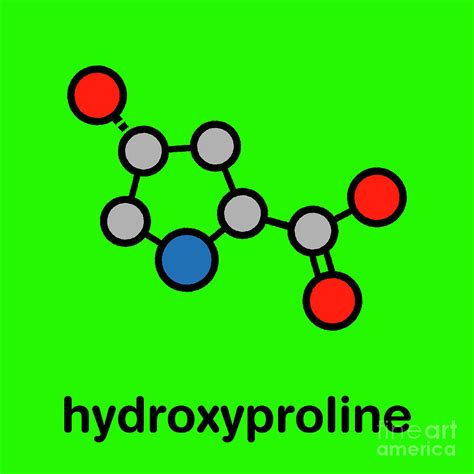 Hydroxyproline Structure
