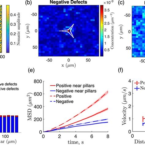 Simulations Of The Computational Model A Nematic Field Around Four