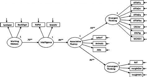 The Relationships Among Working Memory Intelligence Associative Download Scientific Diagram
