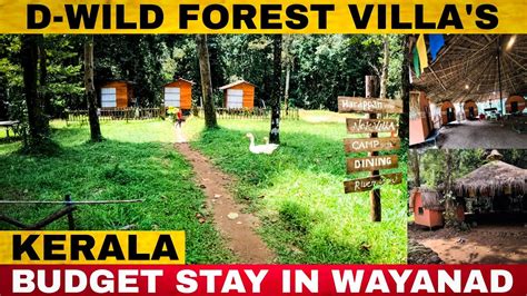 🤯forest ல 🏝️இப்படி ஒரு இடமா😶‍🌫️ D Wild Villas 🐿️ Cottages Jeep Ride Trekking 🏕️ Ytshorts