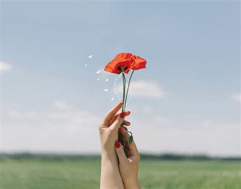 What Are The Differences And Similarities Between Scalp And Skin