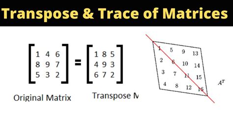 How To Easily Find The Transpose And Trace Of Any Matrix Knust Precalculus Matrices Matrix