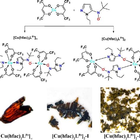 Copper Complexes With L Et And View Of Crystals Through A Microscope