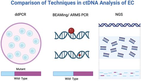 Frontiers Multi Analyte Liquid Biopsy Approaches For Early Detection