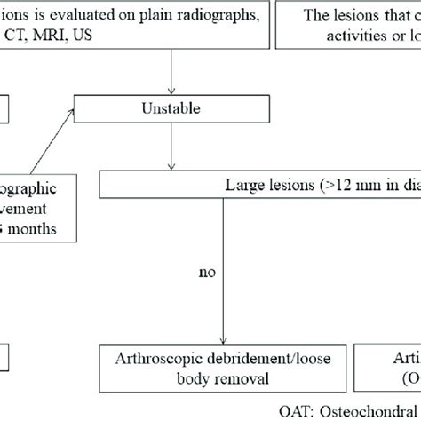 Classification Of Ultrasonographic Appearances Of The Ocd Lesion Type