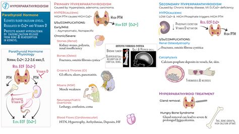 Clinical Pathology Hyperparathyroidism Ditki Medical And Biological