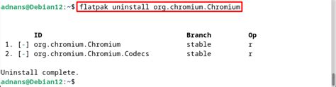 How To Install Chromium Browser On Debian Linux Genie