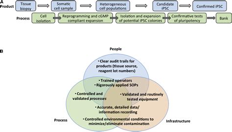 Generating Ipscs Translating Cell Reprogramming Science Into Scalable And Robust