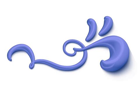 3d Vintage Line Elegant Corner Divider And Separator Swirl Decorative Ornament Isolated