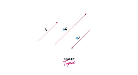 Mathematics For Machine Learning Scaler Topics