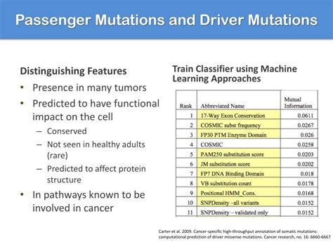 Ppt Cancer Sequencing Powerpoint Presentation Free Download Id 5769423