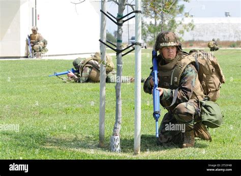 Calif Command Post Exercise Cpx Nmcb 3 Sailors Seebeas Training