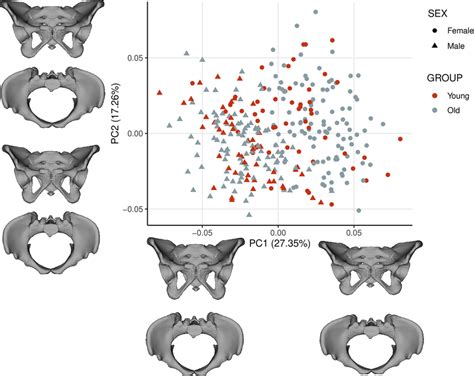 Pca On The Multivariate Residuals Download Scientific Diagram