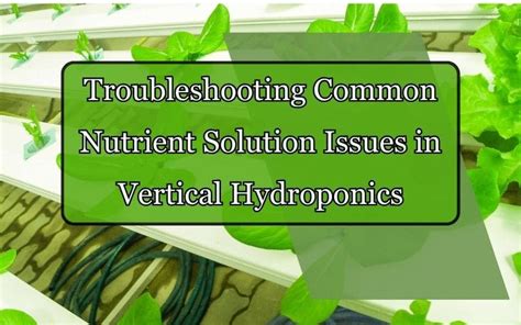 Troubleshooting Common Nutrient Solution Issues In Vertical Hydroponics