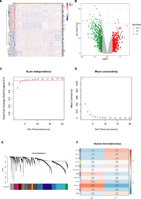 Figure 1 From A New 4 Gene Based Prognostic Model Accurately Predicts Breast Cancer Prognosis