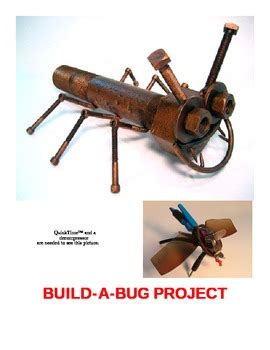BUILD A BUG PROJECT By DON THOMSENS MAGIC BEAUTIFUL MYSTERIOUS SCIENCE