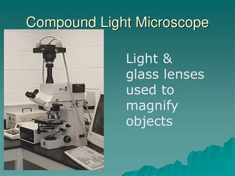 PPT Compound Light Microscope Light Glass Lenses Used To PowerPoint Presentation 1066072