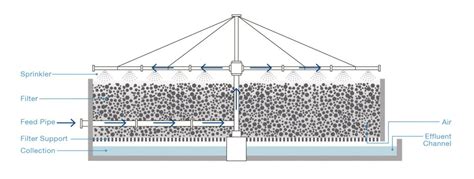 3 3 How Does A Trickling Filter Work Trainings Octopus