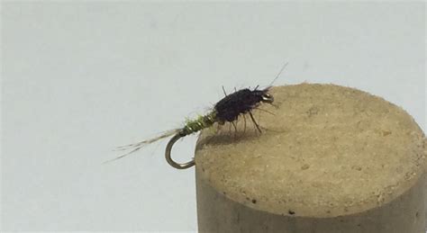 Baetis Nymph