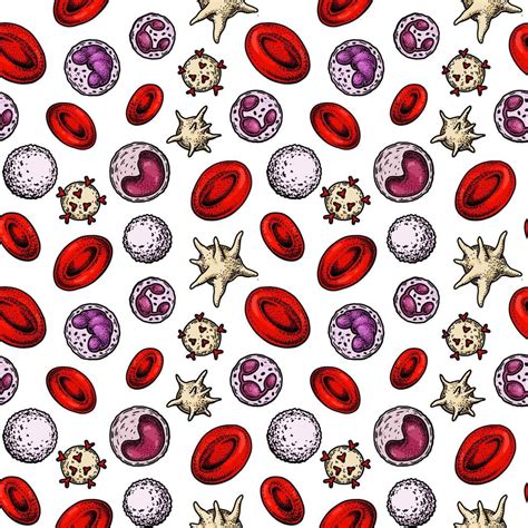 Sangre Células Sin Costura Modelo Mano Dibujado Eritrocitos Leucocitos Y Plaqueta Científico