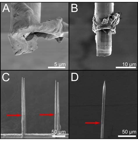 Open Source Toolkit Benchtop Carbon Fiber Microelectrode Array For