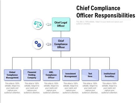 Chief Compliance Officer Responsibilities Ppt Summary Format Ideas Pdf