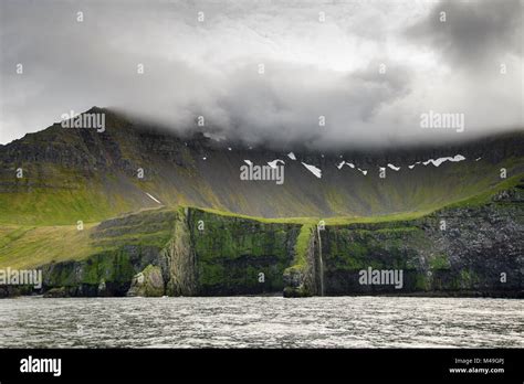 Bird Nesting Cliffs At Haeavikurbjarg Hornvik Hornstrandir Iceland