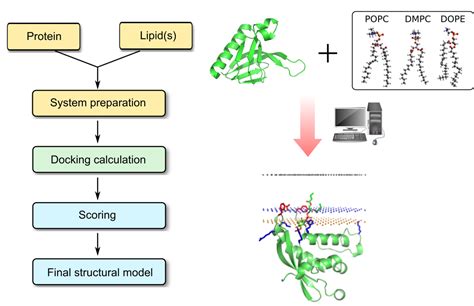 Protein Lipid Docking Profacgen