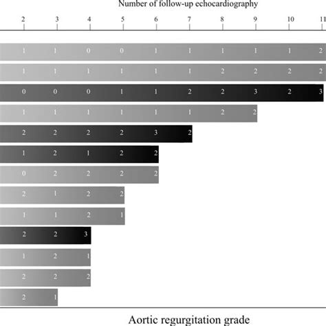 Details Of Aortic Regurgitation Grade Progression During Follow Up From