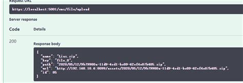 netcore 部署时遇到 Request Entity Too Large 和 Payload Too Large 的问题 哈利路亚啊哈 博客园