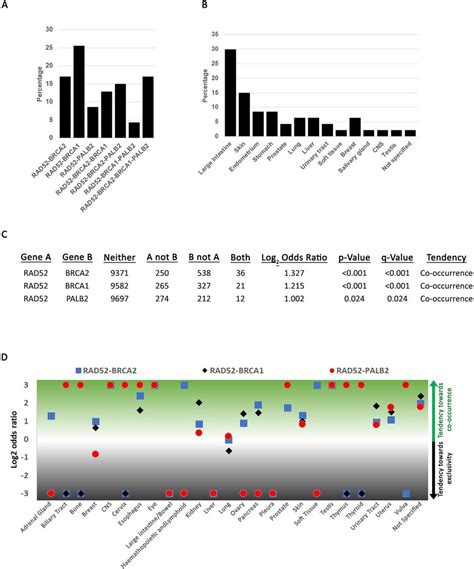 Co Occurring Mutations In Rad52 And The Brca2 Brca1 Palb2 Axis A Download Scientific Diagram