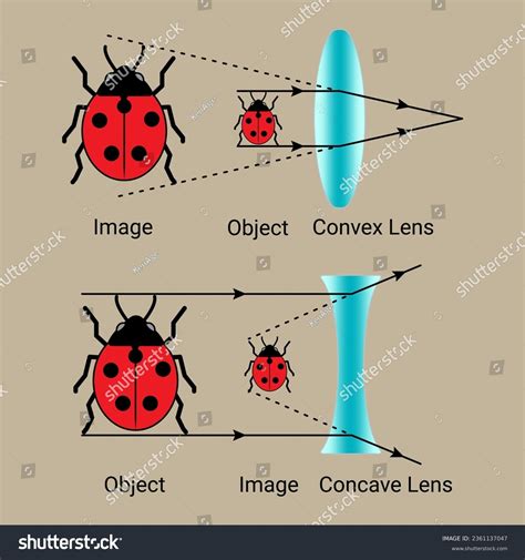Uses Of Convex Lens In Daily Life