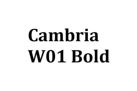 Cambria W01 Bold Font Free Font Download