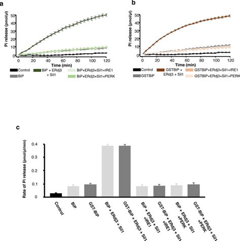 Comparison Of BiP And GST BiP Stimulation And Inhibition A BiP ATPase Download Scientific
