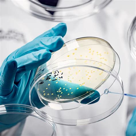 Клеточное питание Инструмент для восстановления организма на клеточном уровне