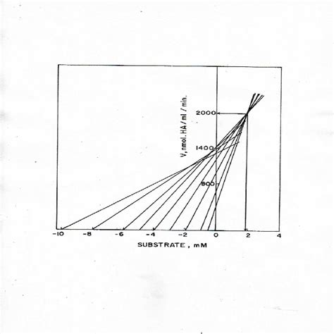 direct linear plot of epididymal ace with hhl as substrate each line