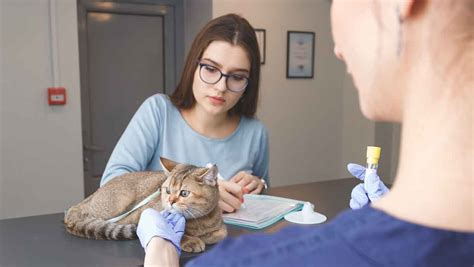 Specimen Labeling Guidelines And Requirements United Ad Label