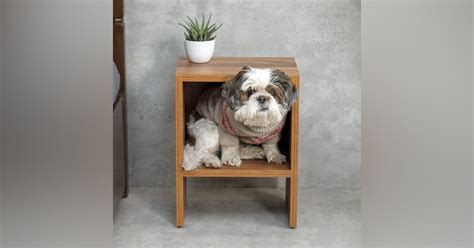 Spruce Up Your Home Decor Game With A Tiny Mistake