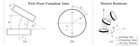 Kinematic Parameters Of Neutral Backbone And Twin Pivot Compliant Joint Download Scientific