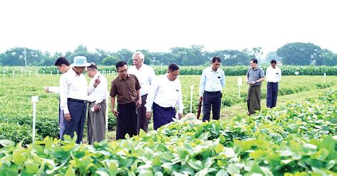 မြန်မာနိုင်ငံ ဆီကုန်သည်နှင့် ဆီလုပ်ငန်းရှင်များအသင်း ရန်ကုန် မ