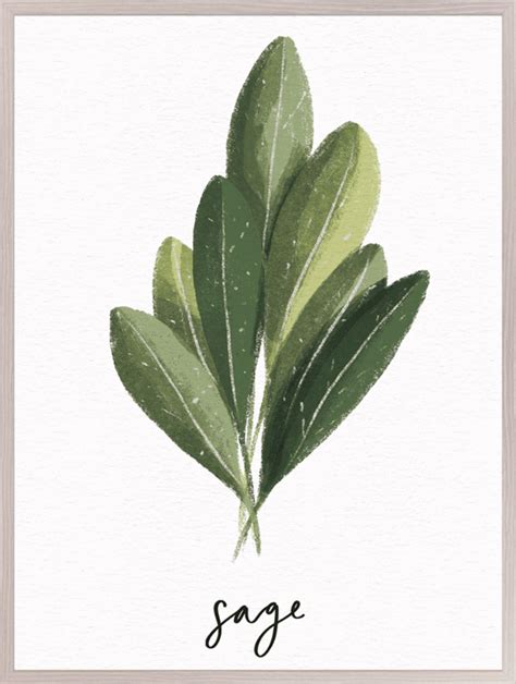 Kitchen Herbs I Camelot Pictures