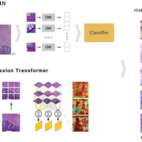 Neural Computing And Applications