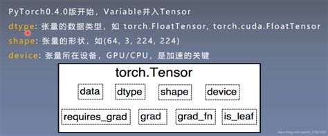 pytorch学习——张量、计算图与 autograd pytorch中张量构建计算图 csdn博客
