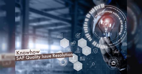 Sap Quality Issue Resolution Mindlogistik