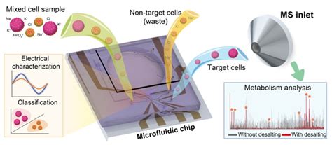 清华大学王文会团队：基于阻抗流式细胞术的单细胞样本“一步式”分选除盐质谱预处理系统 X Mol资讯
