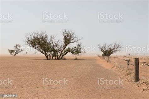 호주 의 외딴 농가에서 모래 폭풍 자연 재해로 가뭄에 대한 기후 변화 또는 지구 온난화 개념 0명에 대한 스톡 사진 및 기타 이미지 Istock